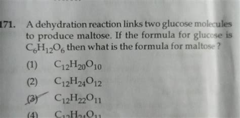 171 A Dehydration Reaction Links Two Glucose Molecules To Produce Maltos