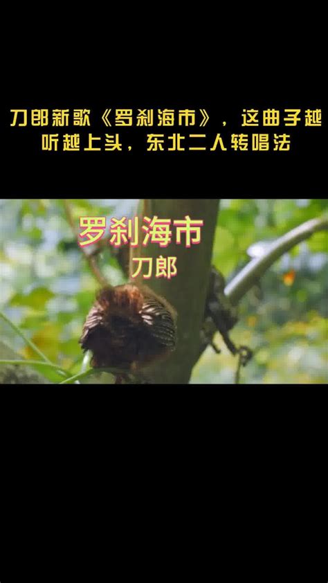刀郎新歌《罗刹海市》，这曲子越听越上头，东北二人转唱法高清1080p在线观看平台腾讯视频