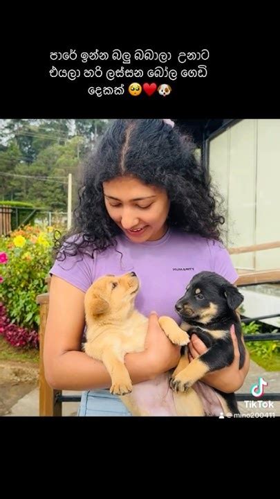 ගෙදර හදන සත්තු පාරේ සත්තු කියලා වෙනසක් නැදෙපාරක් හිතන්නෙ නැතුව එයාලට