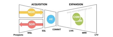 Defining Saas Roles In A Company Winning By Design