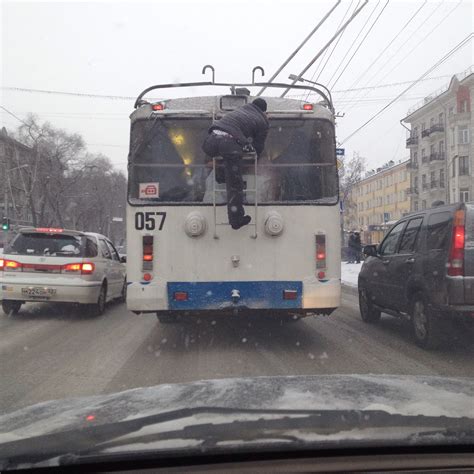 "Заяц" | Пикабу