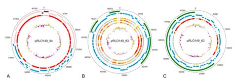 Circular Plots Of The Plasmids Of R Litoralis A C The Inner Rings