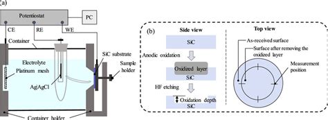 A Three Electrode Anodic Oxidation Setup Oxidation Area Circle Of 1