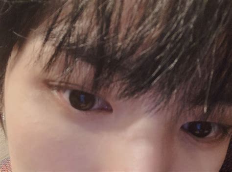 Monsta X ミニョク에 있는 ありす님의 핀 몬스타엑스 미래의 남편 동물