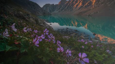 Biodiversity Monitoring Software Development Smartfrog Cbi