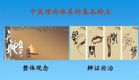 辨证论治图册 360百科