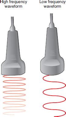Physics Of Ultrasound Radiology Key