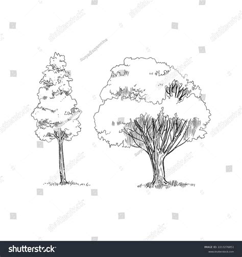 Set Hand Drawn Architect Trees Silhouette Stock Vector Royalty Free 2213276851 Shutterstock