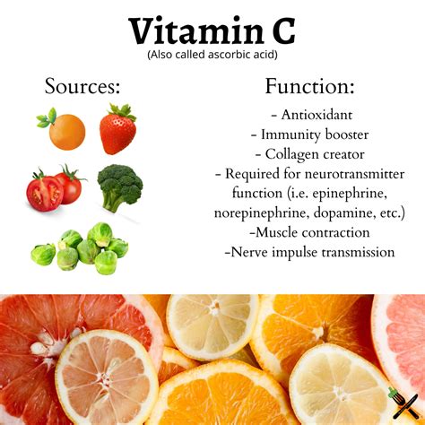 Function Of Vitamin C And E At John Gemmill Blog
