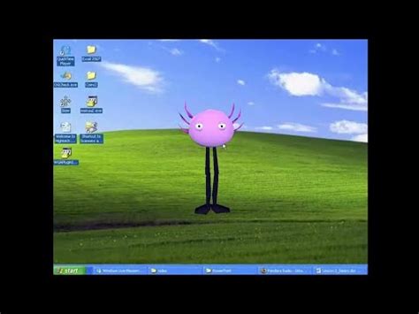 кинито пет (pet. )😱 видео не моё 😁 - YouTube
