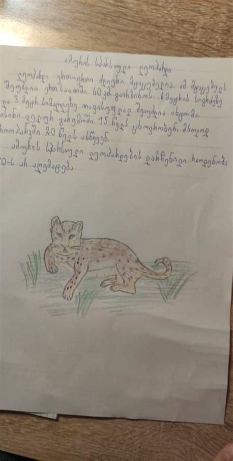 მე და უფლებები Ii ა კლასი