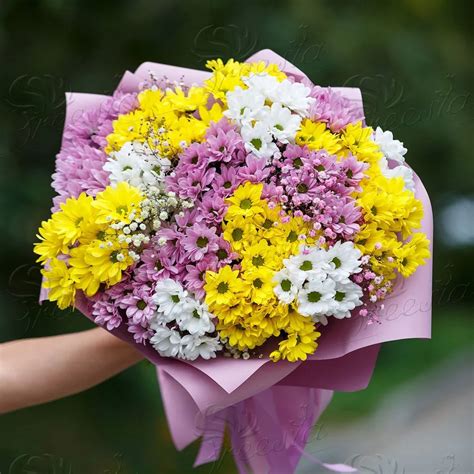 Разноцветные ромашки фото - 73 картинки