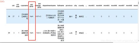 Python——pandas——设置dataframe某列为空值（nan）dataframe赋值为nan Csdn博客