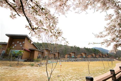 단양 소백산 자연휴양림 네이버 블로그