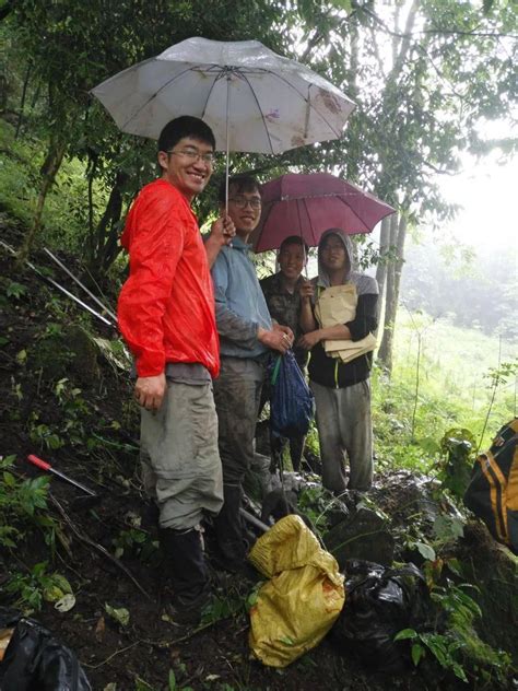 自然生态近40年熊猫大学的鸽子花情缘 澎湃号政务 澎湃新闻 The Paper