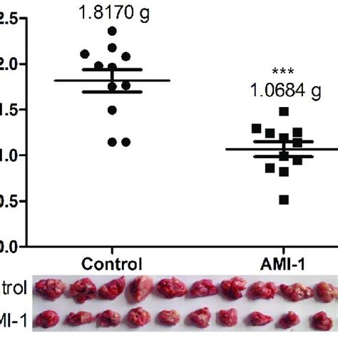 Ami 1 Inhibits S180 Viability In Vivo S180 Cells Were Subcutaneously