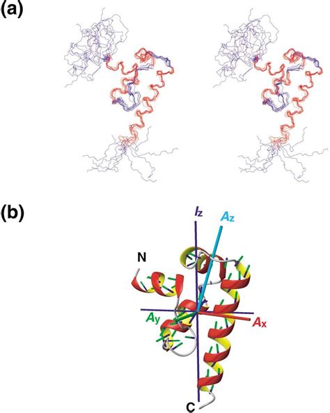A Stereo View Of Ten Superimposed Nmr Derived Structures With The