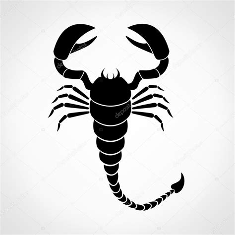 Scorpion Vector — Stock Vector © Barcova Natalia 77459734