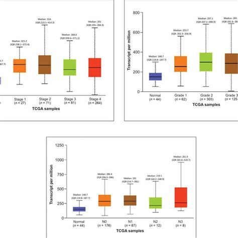 Effect Of Cd44 Expression On Hpv And Tp53 Status Download Scientific