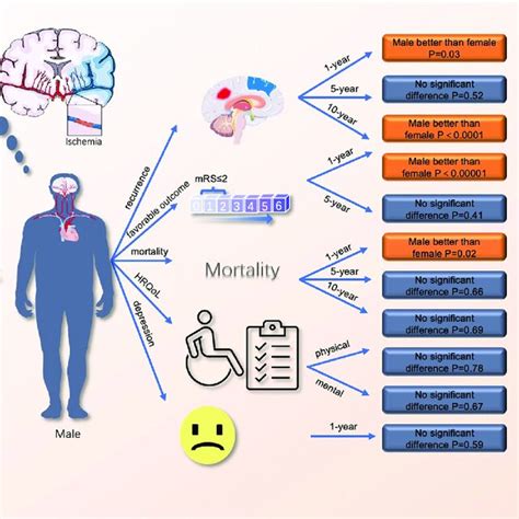 The Comparison Of Long Term Outcomes Between Males And Females Parts
