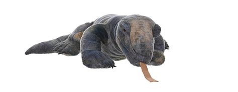 코모도 드래곤 플러시 38 Cm
