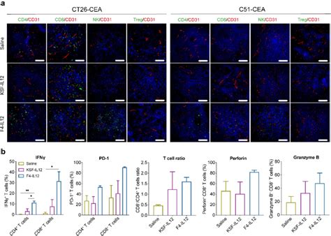 Ex Vivo Analysis Of F4 Il12 Treated Tumor Bearing Mice A Analysis Of