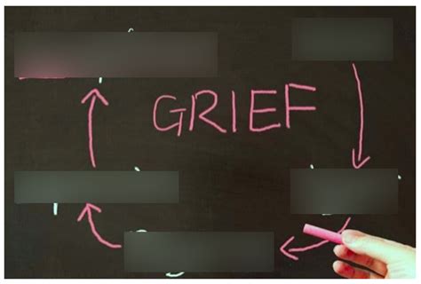 EXAM Diagram Quizlet