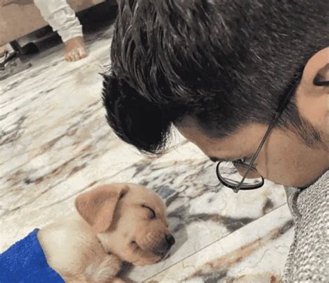 Botmaster Software Download