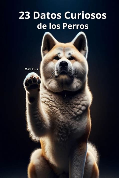 Datos Curiosos de los Perros El Mundo a Través de sus Ojos Curiosidades Ilimitadas