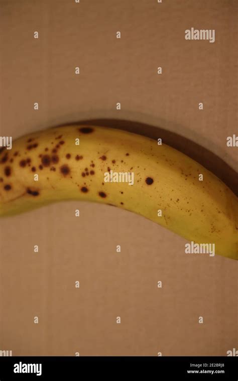 Demonstration Ultraviolet UVA Radiation From Blacklight Causes Fluorescence Of Ripe Banana