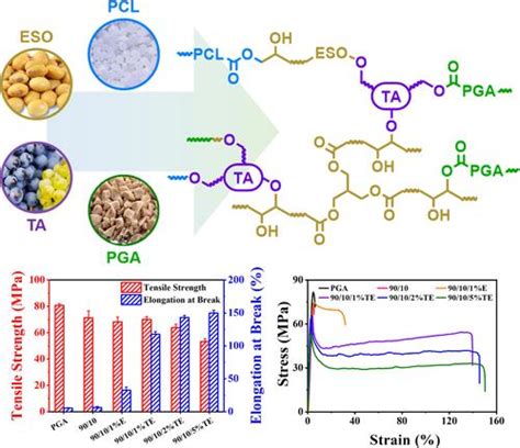 使用环保且经济高效的生物基扩链剂对聚（乙醇酸） 聚（ε 己内酯）共混物进行反应增韧 Journal Of Applied Polymer Science X Mol