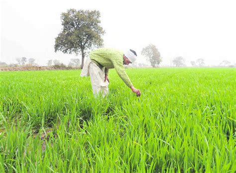 Haryana Agriculture And Farmers Welfare Minister Shri Jp Dalal Today