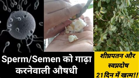 वीर्य को गाढ़ा करनेवाली अद्भुत औषधी। How To Stop Nightfall And Premature