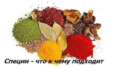 СПЕЦИИ ЧТО К ЧЕМУ ПОДХОДИТ ДЛЯ РЫБЫ лавровый лист белый перец
