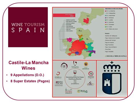 Mancha Wine Region Wines And History