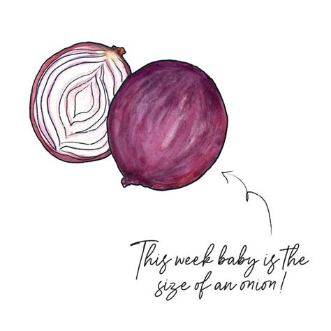 17 Weeks Pregnant Symptoms And What To Know Kindred Bravely