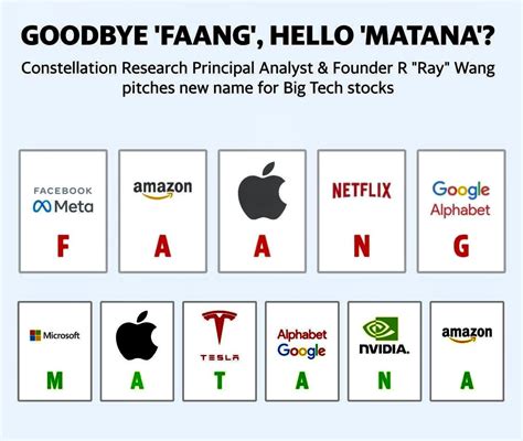 Faang Matana Kamran Rafiq Cism® Cisa® Crisc®