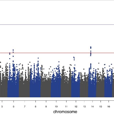 manhattan plot of snp s p values of association with rfi the lines
