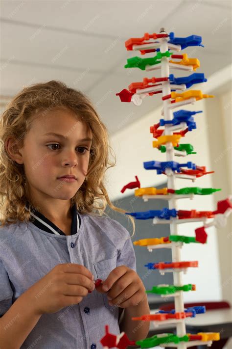 Premium Photo Schoolgirl Learning On Science Model In Classroom