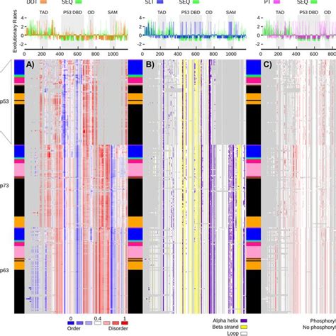 Graphical Representation Of Sequence Based Predictions In Download Scientific Diagram