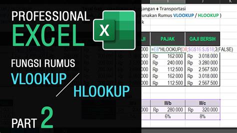 Excel Professional Part 2 Fungsi Hlookup Dan Vlookup Youtube