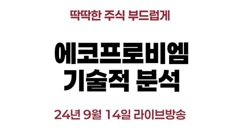 에코프로비엠 기술적분석 Youtube