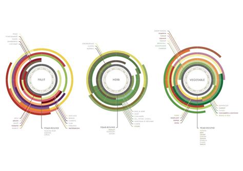410 Data Visualization Radial Charts Ideas Data Visualization 410 Data Visualization Radial Charts Ideas Data Visualization