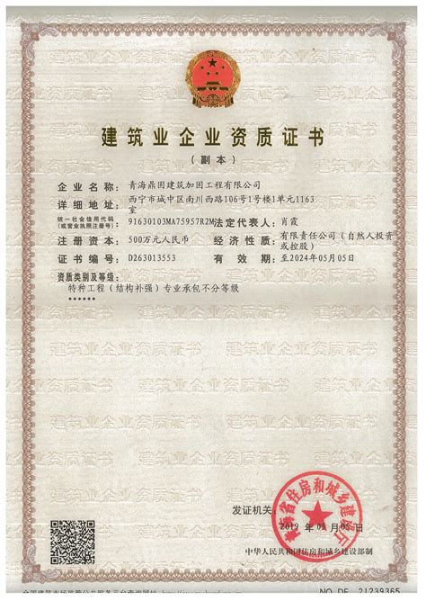 青海鼎固建筑加固工程有限公司