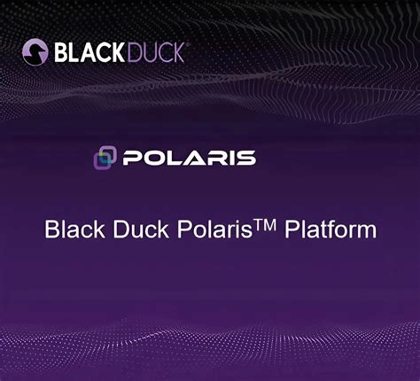 Polaris Software Integrity Mi2 Jsc