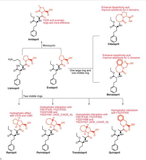 Figure 3 From Small Molecule Angiotensin Converting Enzyme Inhibitors