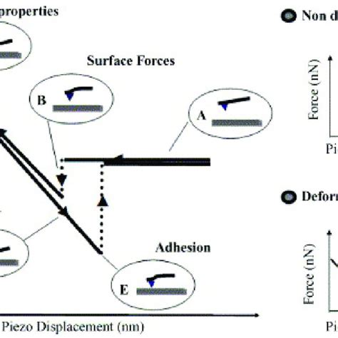 Representation Of A Typical Force Distance Curve Reprinted With Download Scientific Diagram
