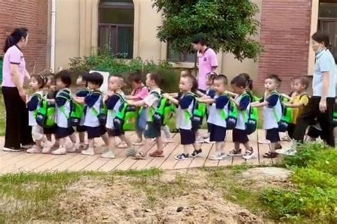 湖北幼儿园组织娃娃游小区 老师溜娃模式萌翻众人 网友捕捉一群小可爱