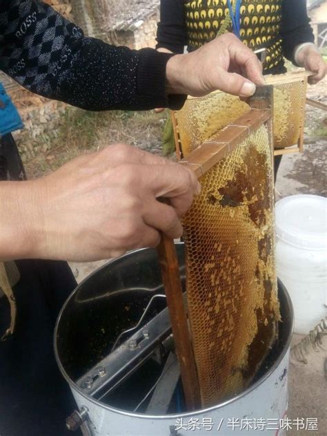 發財中國年 親歷取蜂蜜過程甜甜蜜蜜過新年 每日頭條
