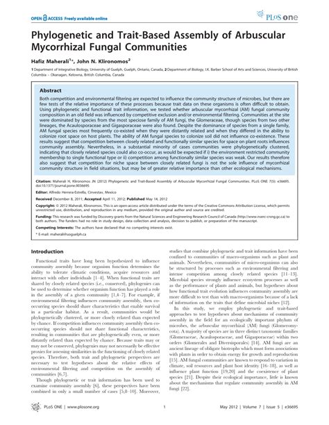 (PDF) Phylogenetic and Trait-Based Assembly of Arbuscular Mycorrhizal Fungal Communities